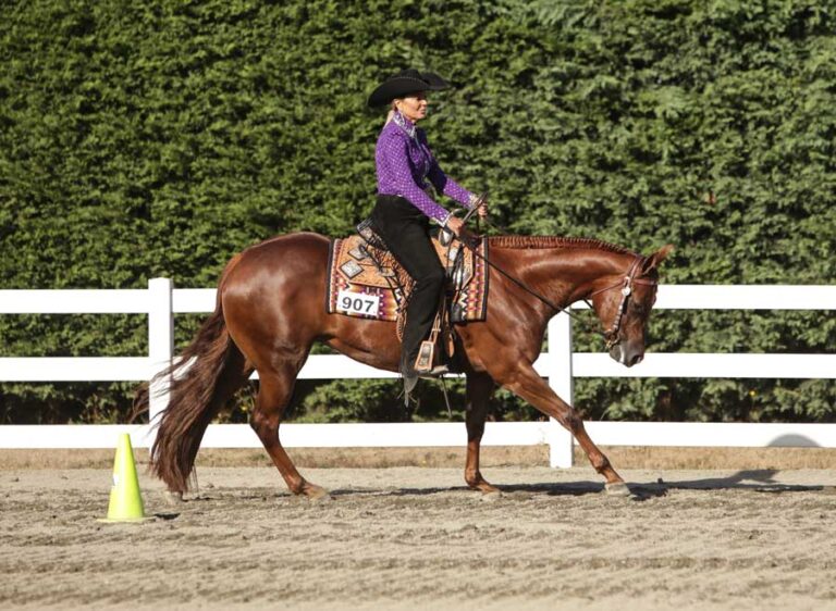 Washington State Quarter Horse Association – AQHA Affiliate